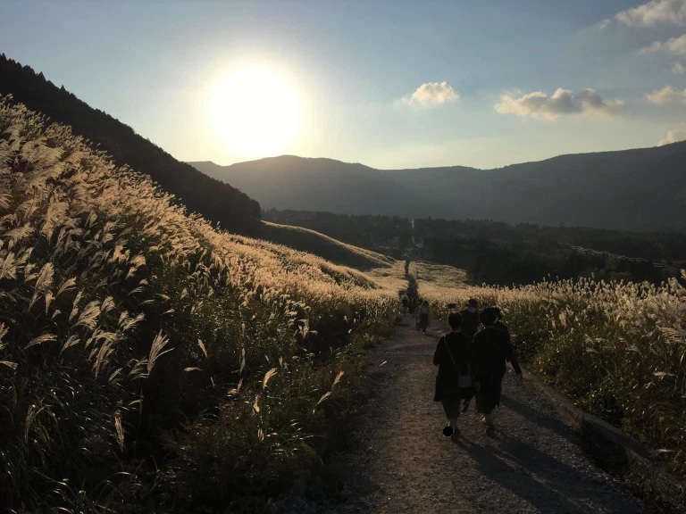 Susuki: One of the most beautiful, and often overlooked, parts of ...