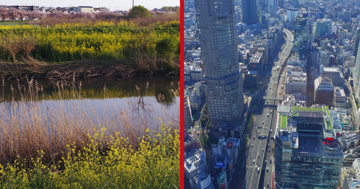 Top 10 most desirable Japanese prefectures to live in may show new ...