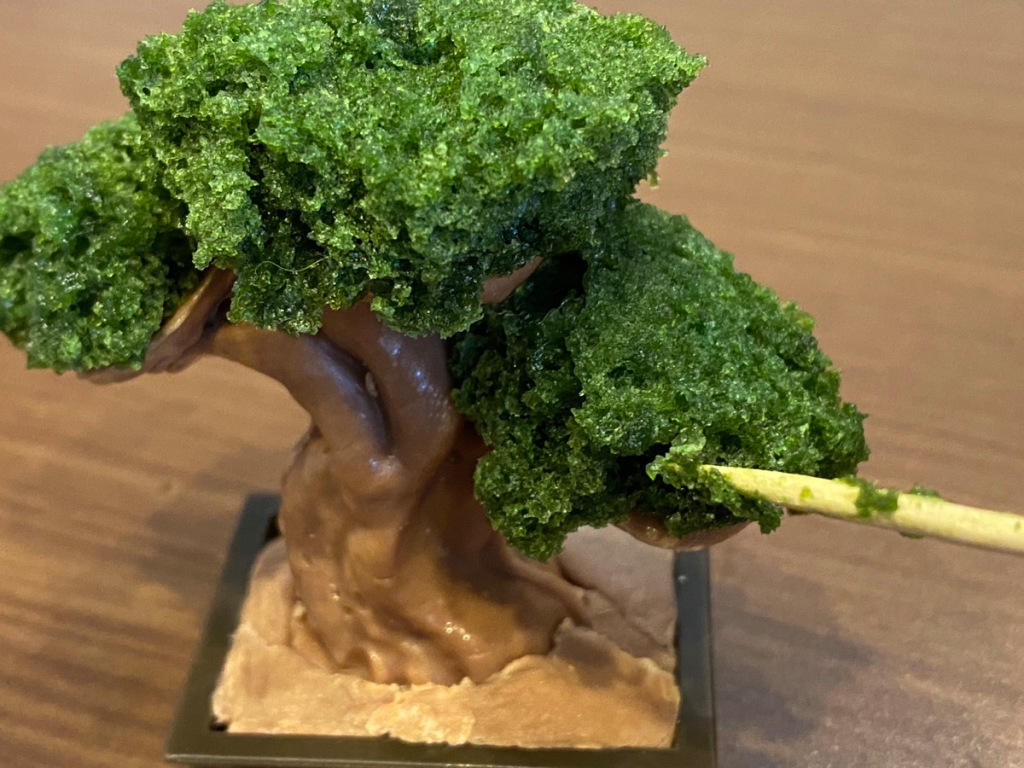 We tried making a candy bonsai tree and ended up with a spectacular ...