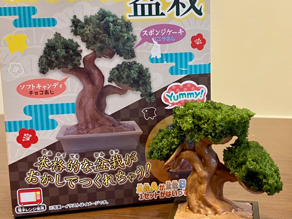 We tried making a candy bonsai tree and ended up with a spectacular ...