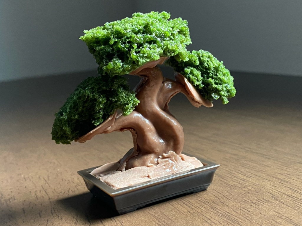 We tried making a candy bonsai tree and ended up with a spectacular ...