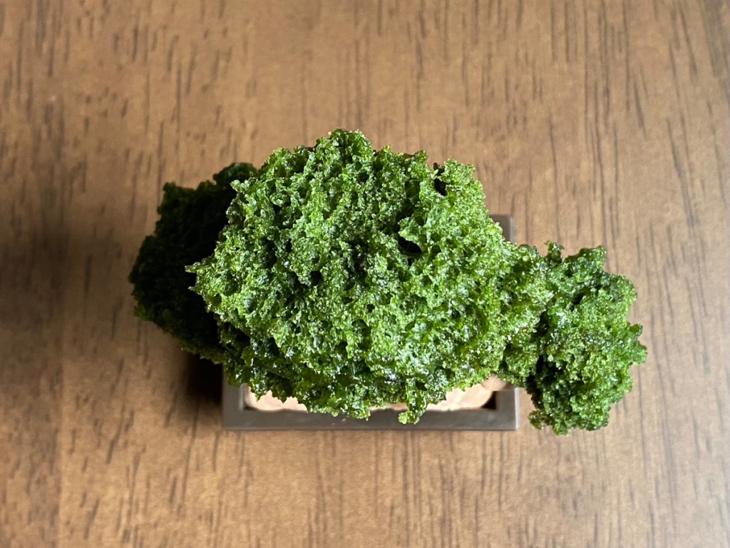 We tried making a candy bonsai tree and ended up with a spectacular ...