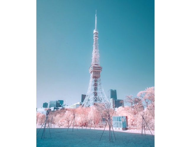 These amazing, ultra-pink photos of Tokyo are NOT of cherry blossom ...