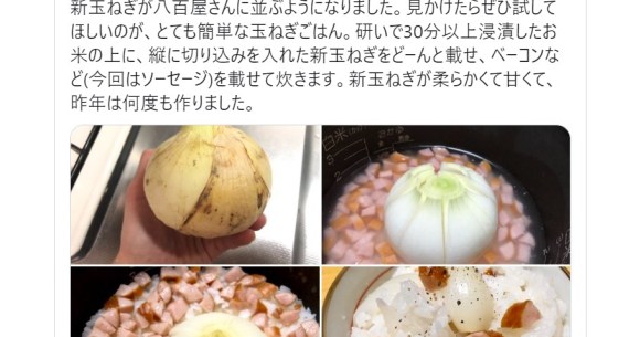 Rice cooker cooking: Bacon onion rice is amazingly easy, awesomely ...