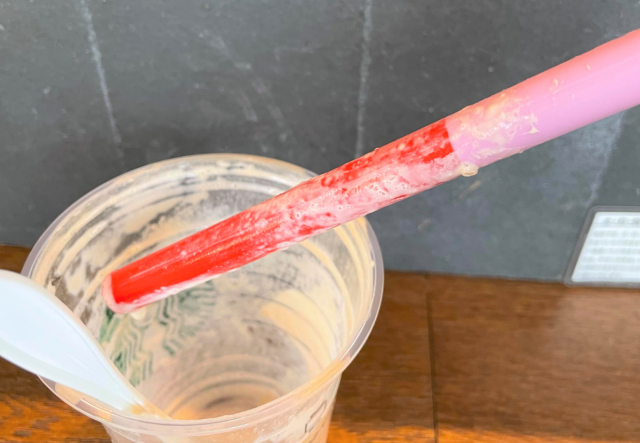 The pros and cons of Starbucks Japan’s new reusable straws | SoraNews24 ...