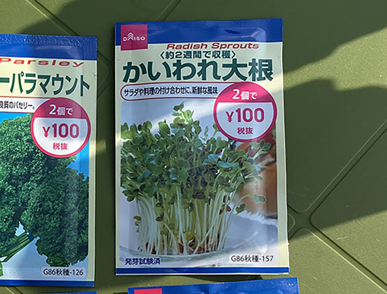 Are 100 yen shop Daiso’s Japanese radish seeds worth your time? Let’s ...