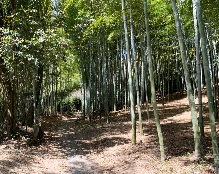Real-life Demon Slayer? A visit to the legendary split boulder of Haban ...