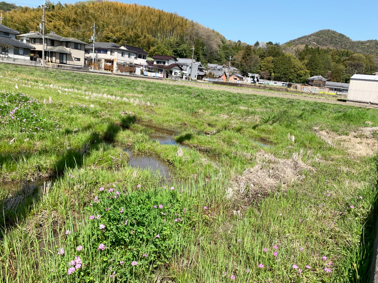 Real-life Demon Slayer? A visit to the legendary split boulder of Haban ...