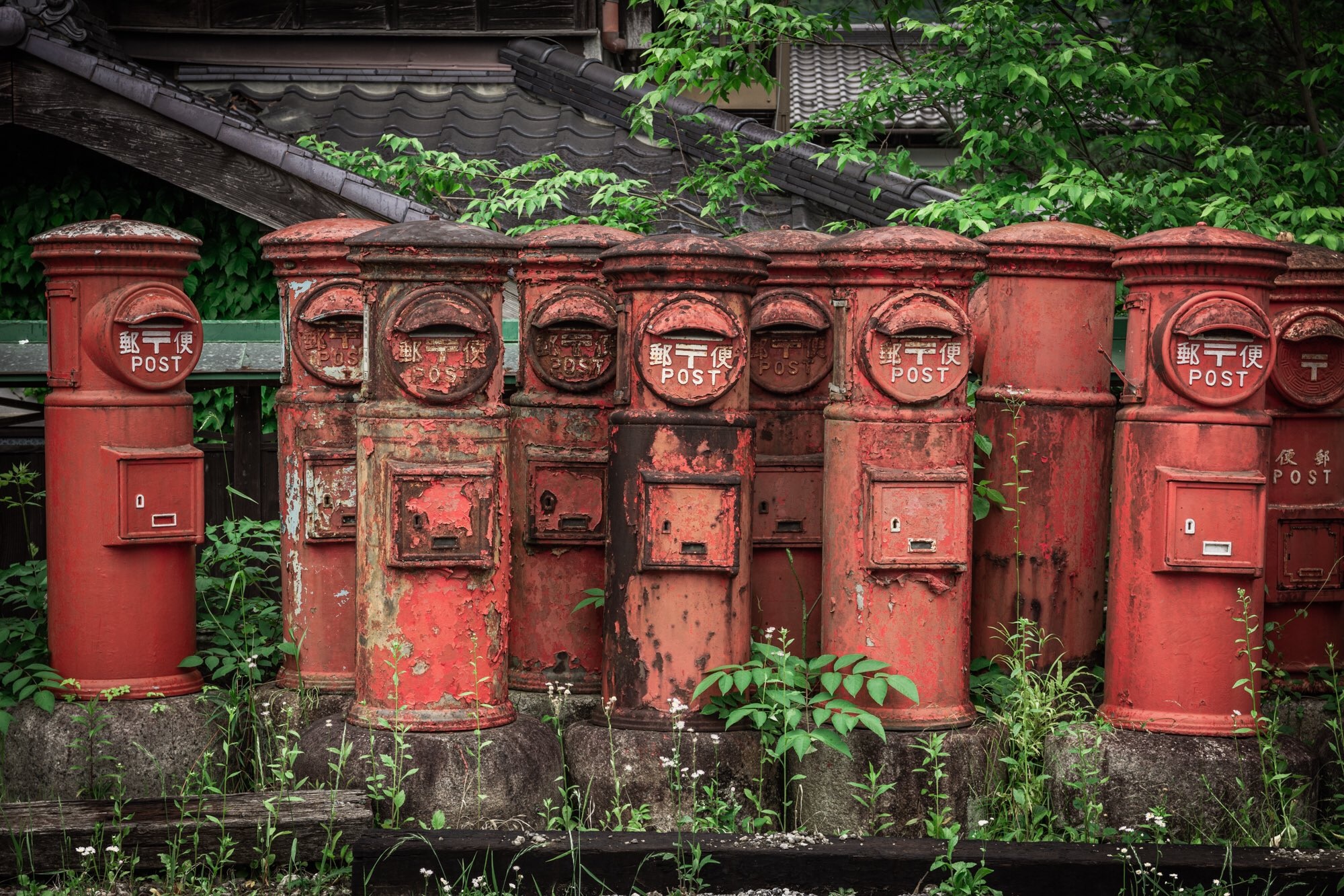 Compellingly creepy collection of retro mailboxes stands in rural ...