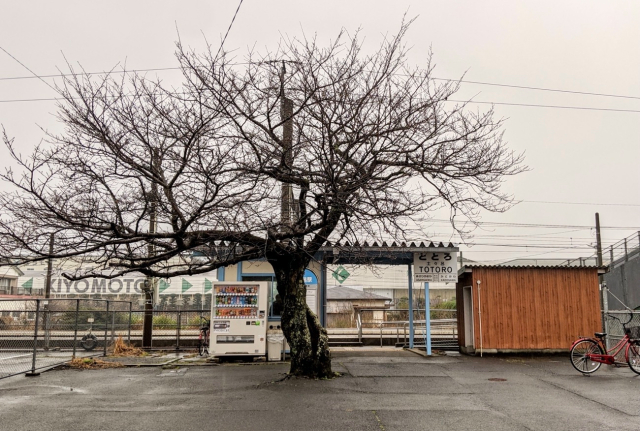 Searching for Totoro at Totoro Station in Totoro, Japan | SoraNews24 ...
