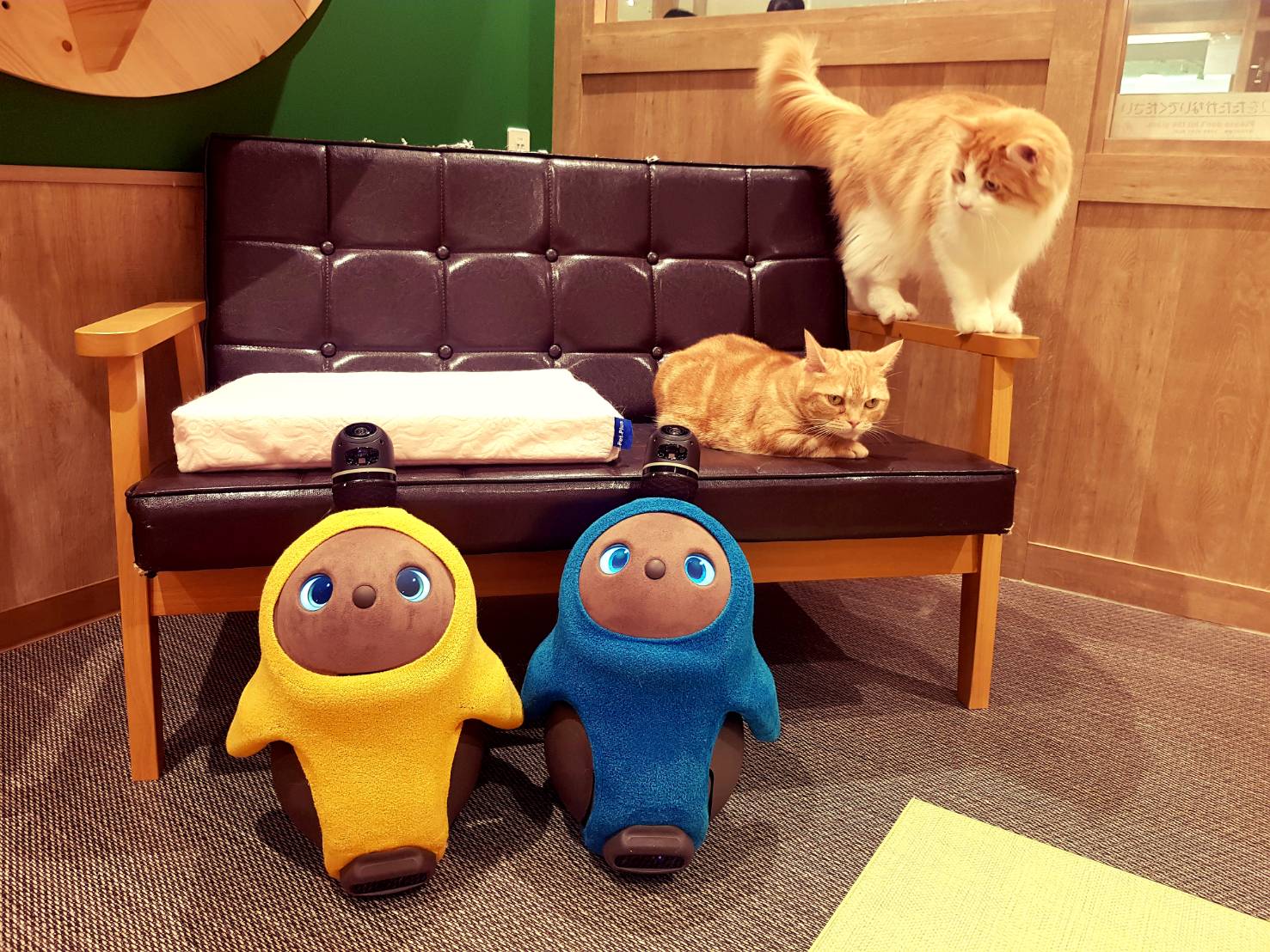 Now you can cuddle both cats and lovable robots at new Lovot store in a ...