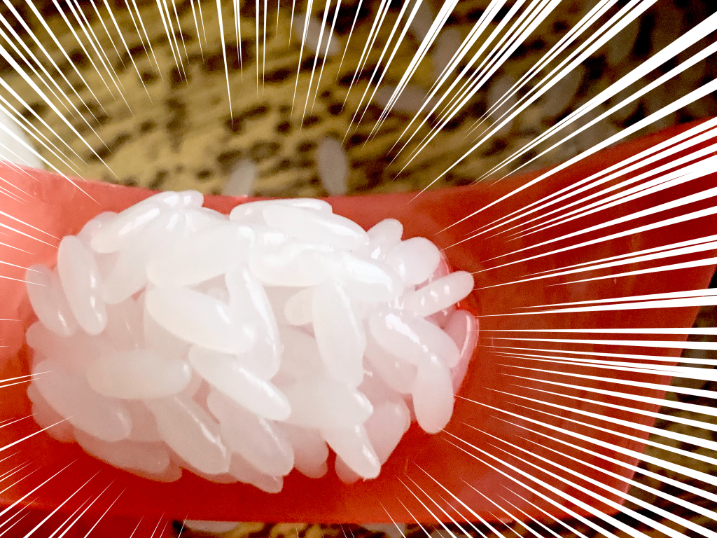 The crazy ordeal of putting together Japan’s 366-piece sushi plastic ...