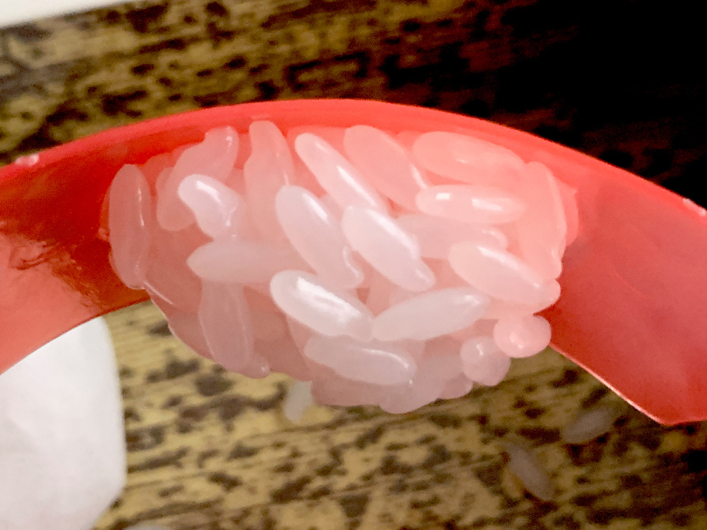 The crazy ordeal of putting together Japan’s 366-piece sushi plastic ...