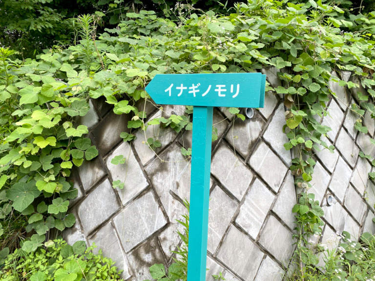 Will Yomiuriland’s Pokémon Wonder attraction be a good place to play ...