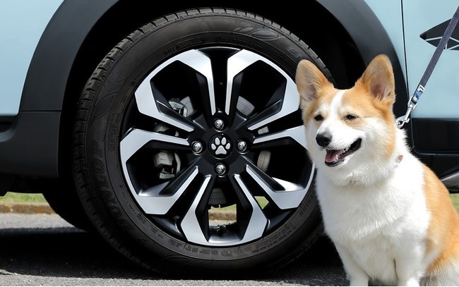 Honda releases official doggy wheel accessories, Shiba Inu shift ...