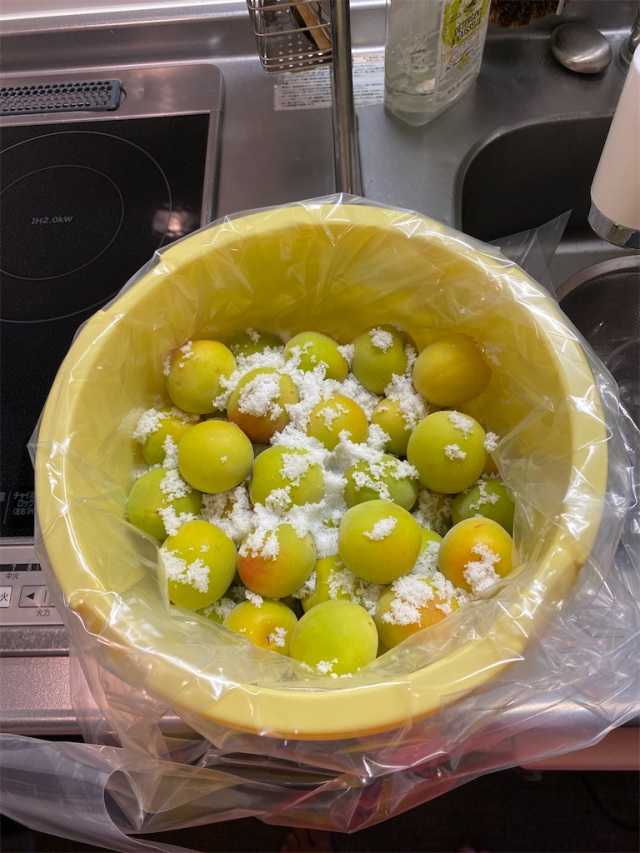 How to make epic umeboshi like a Japanese grandpa | SoraNews24 —Japan News—