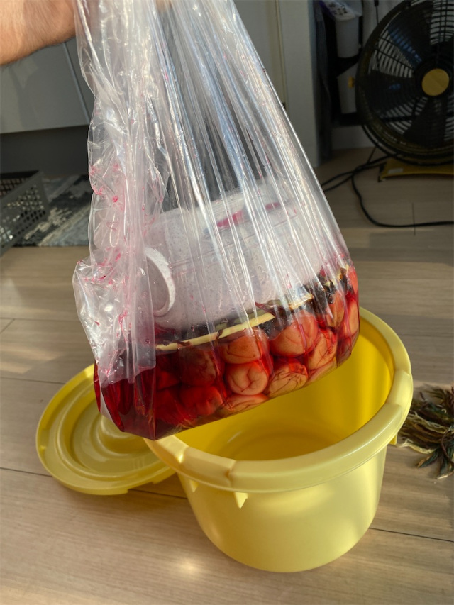 How to make epic umeboshi like a Japanese grandpa | SoraNews24 —Japan News—