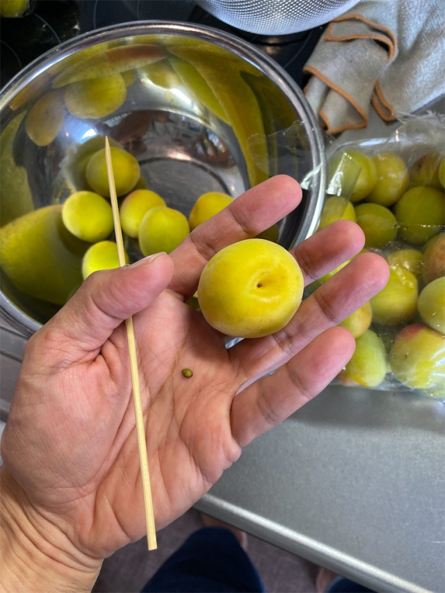 How to make epic umeboshi like a Japanese grandpa | SoraNews24 -Japan News-