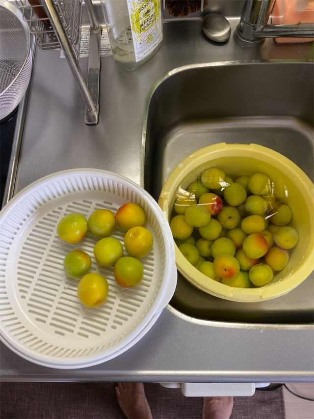 How to make epic umeboshi like a Japanese grandpa | SoraNews24 —Japan News—