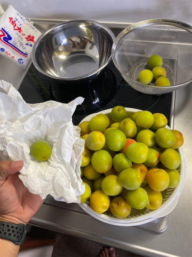 How to make epic umeboshi like a Japanese grandpa | SoraNews24 —Japan News—