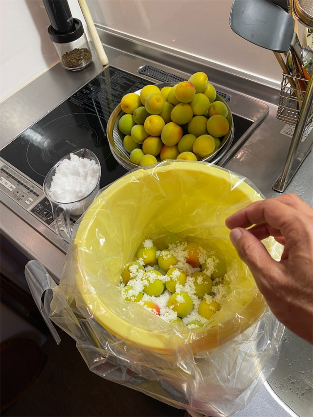 How to make epic umeboshi like a Japanese grandpa | SoraNews24 -Japan News-