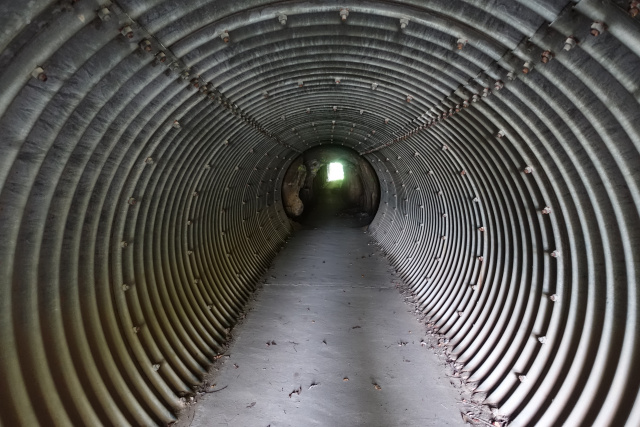 This mysterious tunnel in Japan is like none you’ve ever seen before ...