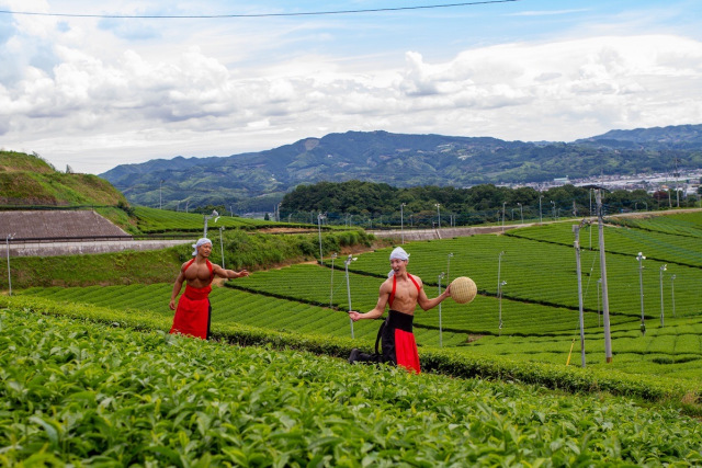 Muscly Japanese men fill stock photo site with hilarious poses in ...