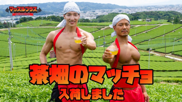 Muscly Japanese men fill stock photo site with hilarious poses in ...