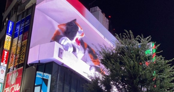 The best time to see Shinjuku’s giant new 3-D cat | SoraNews24 -Japan News-