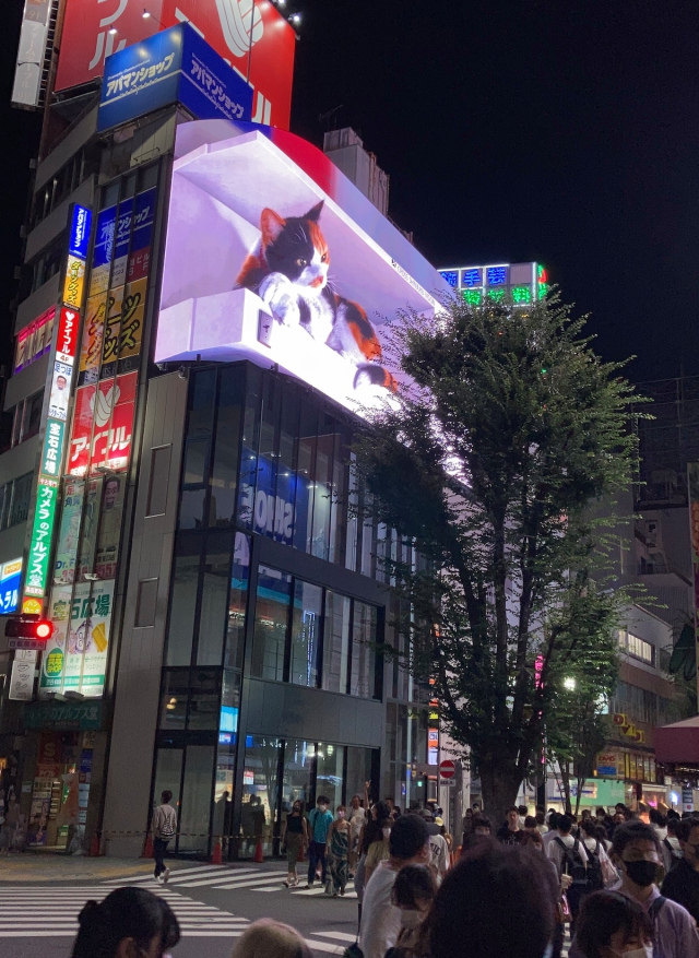 The best time to see Shinjuku’s giant new 3-D cat | SoraNews24 -Japan News-
