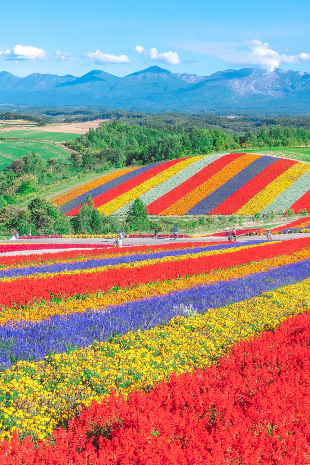 Flower park in northern Japan looks too beautiful to be real, but this ...