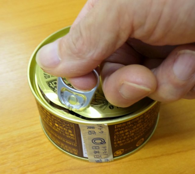 We buy chocolate fish in a can from a store in Akihabara | SoraNews24 ...