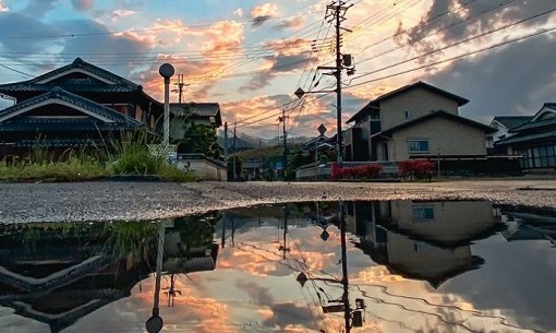 Whether you look up or down, there’s beauty all around in these ...