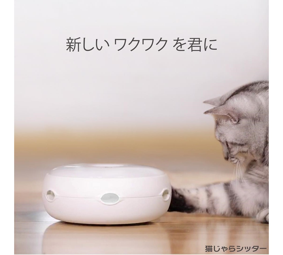 Japanese company makes a robot specifically to keep your cat ...