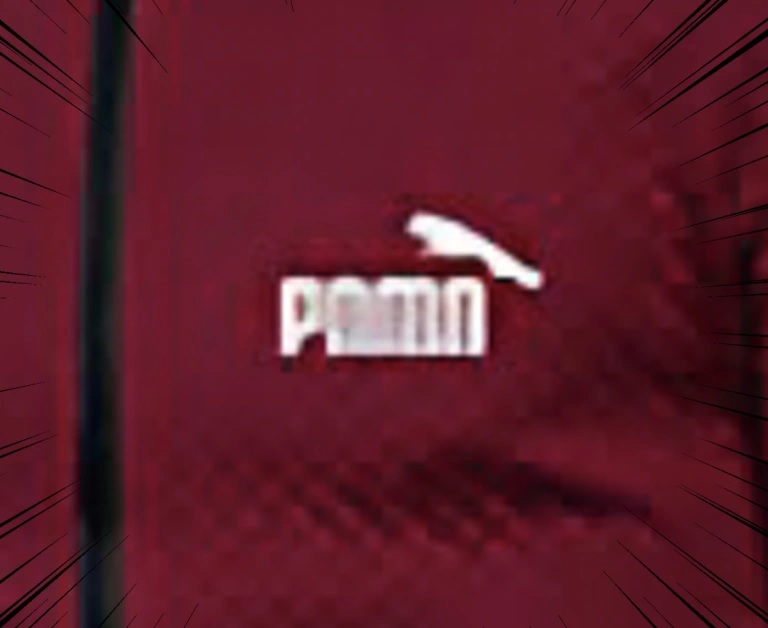 Hey, online knockoff seller, is this a Puma tracksuit, or something ...