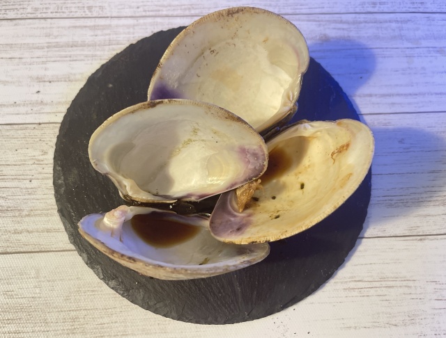 We try clams from a Japanese vending machine and live to tell the tale ...