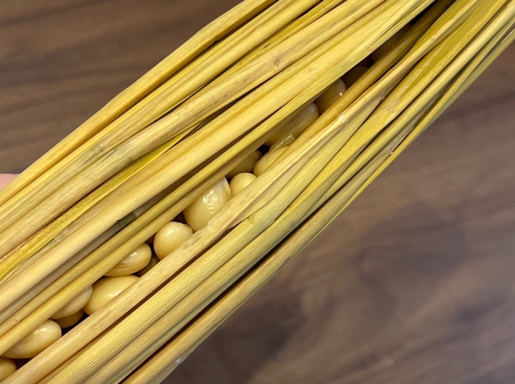We tried making natto the old-fashioned way, and the result was ...