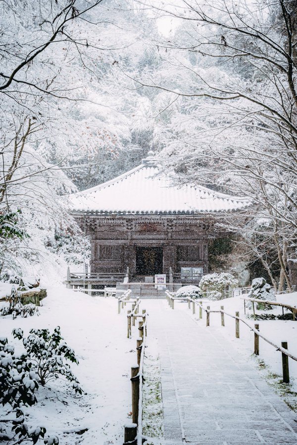 Photo of snowy Japanese temple wows people around the world ...