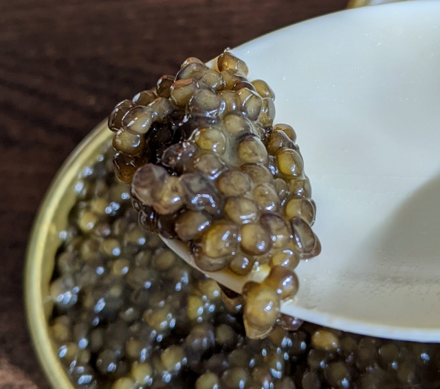 Will we win a 75,000-yen tub of caviar from this Japanese vending ...