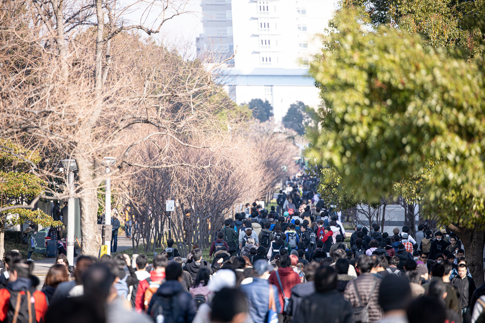 Counting down Japan’s top five New Word of the Year rankings for 2021 ...