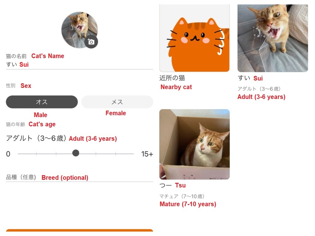 Our cat mom reporter learns how her cats truly feel about her through a ...