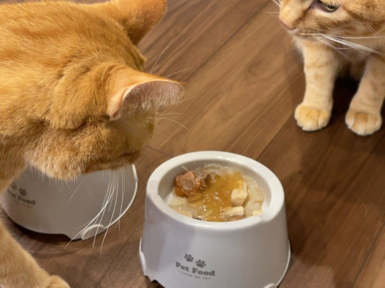 Sukiyaki, soba, oden, and other Japanese comfort foods…for your pet cat ...