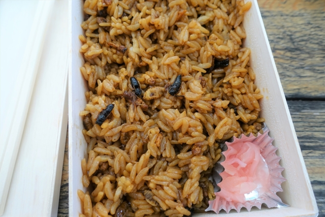 Wasp larvae bento: a traditional delicacy in the Japanese mountains ...