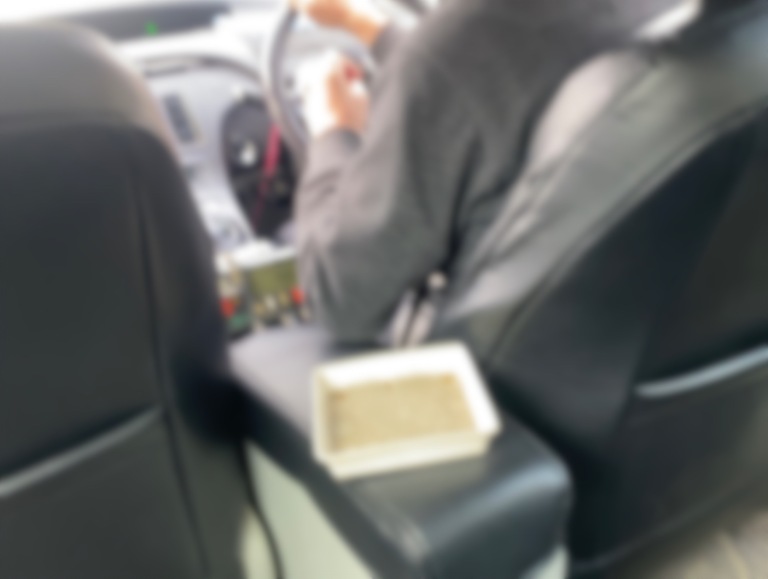 “Hey, Japanese taxi driver, take us to the best restaurant in Kobe ...