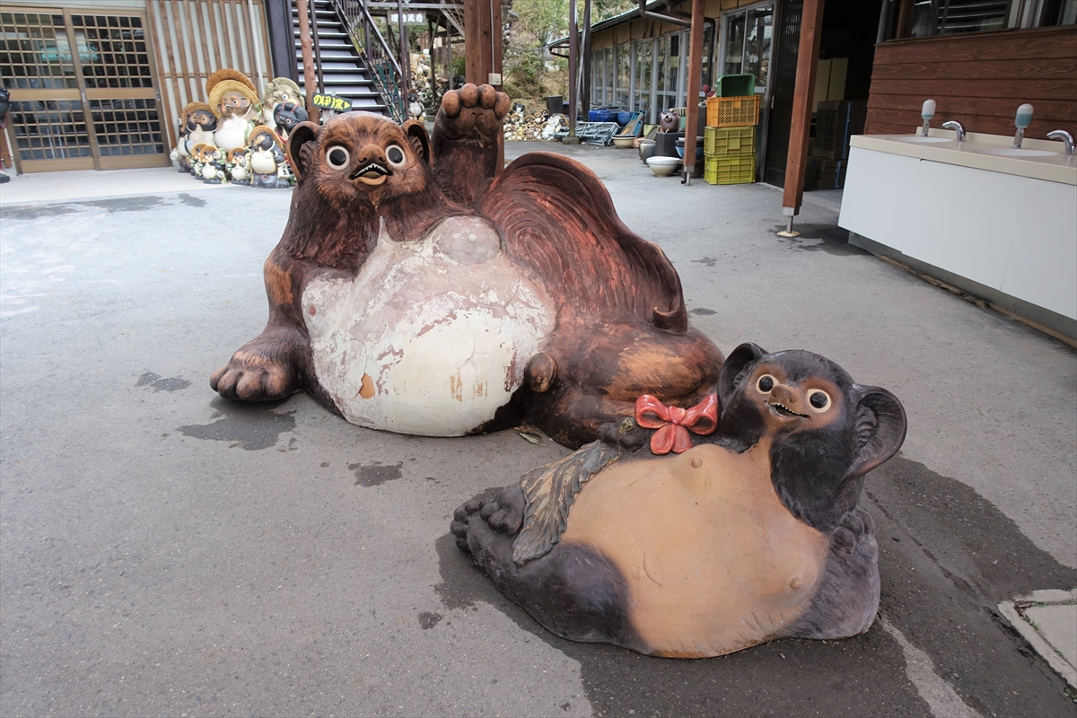 In search of Japan’s biggest tanuki, we stumble across something ...