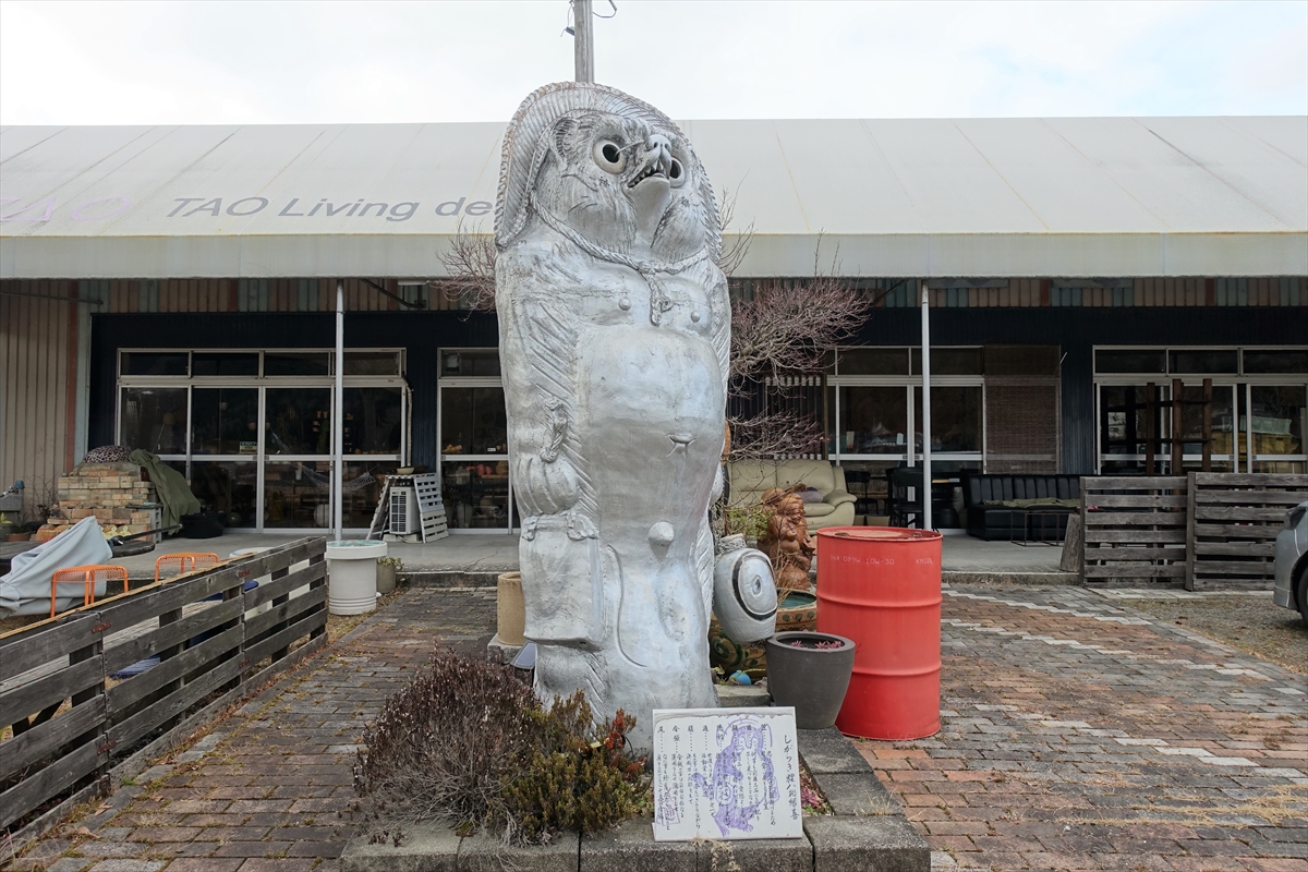 In search of Japan’s biggest tanuki, we stumble across something ...