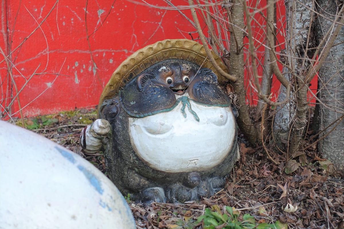 In search of Japan’s biggest tanuki, we stumble across something ...