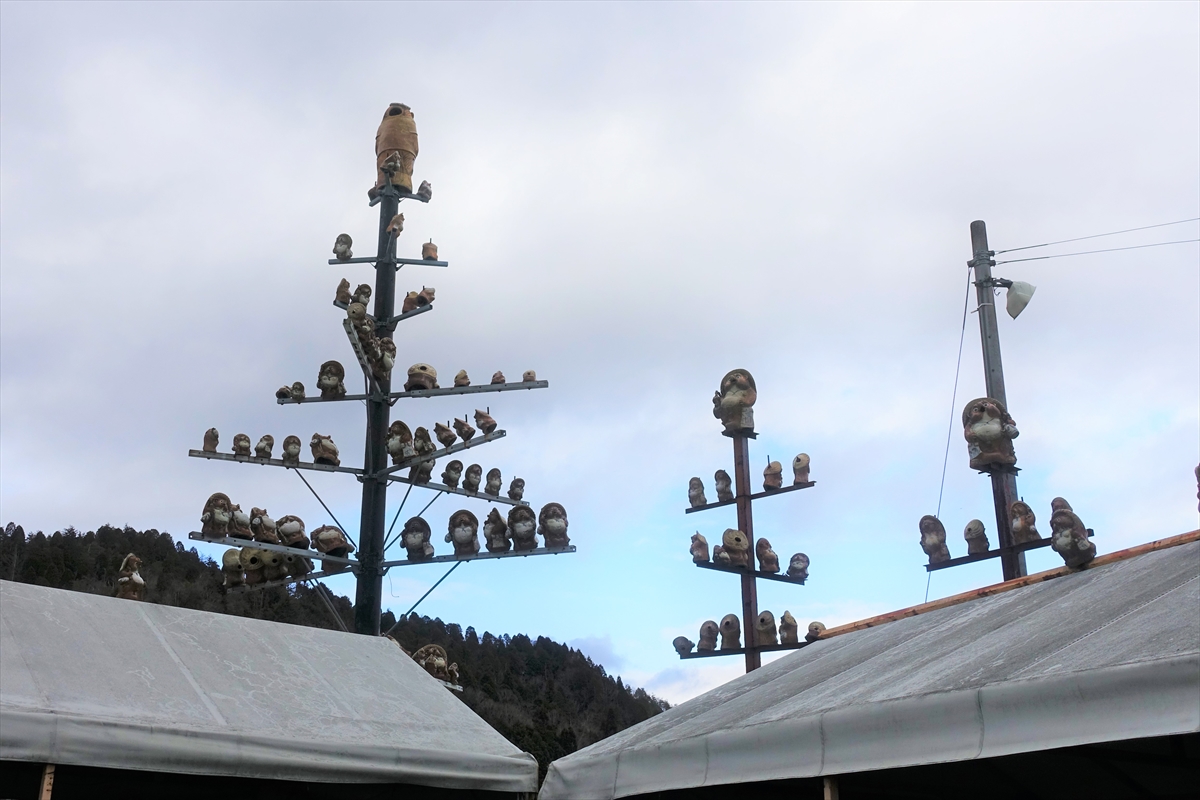 In search of Japan’s biggest tanuki, we stumble across something ...