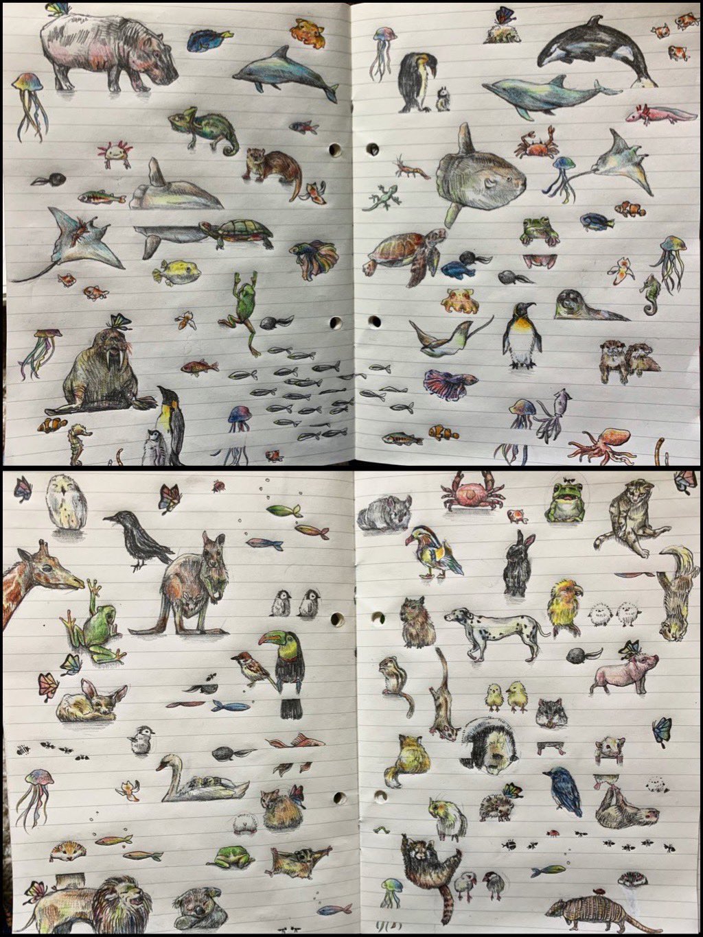 “I’ll draw one animal for every retweet!” Japanese artist now has to ...