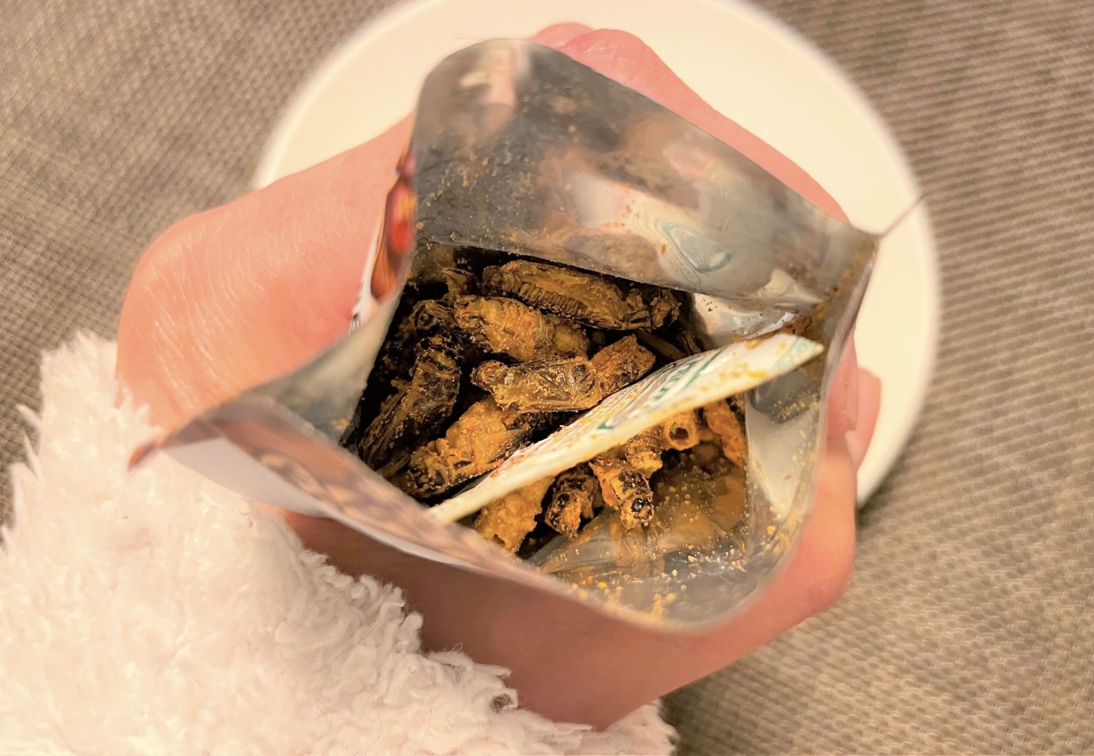 Capsule machine found in Nara with mystery edible insects | SoraNews24 ...